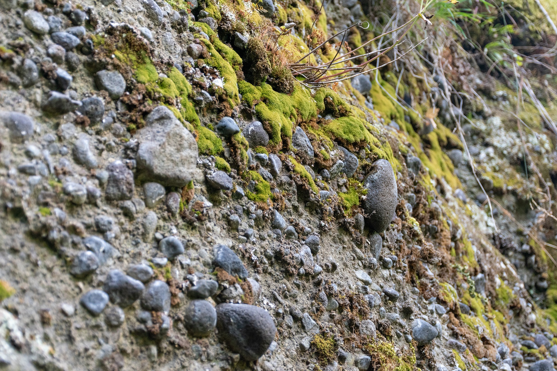 Processus de formation de roches